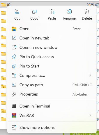 I no longer see Dropbox context menu options on my Windows 11 File ...